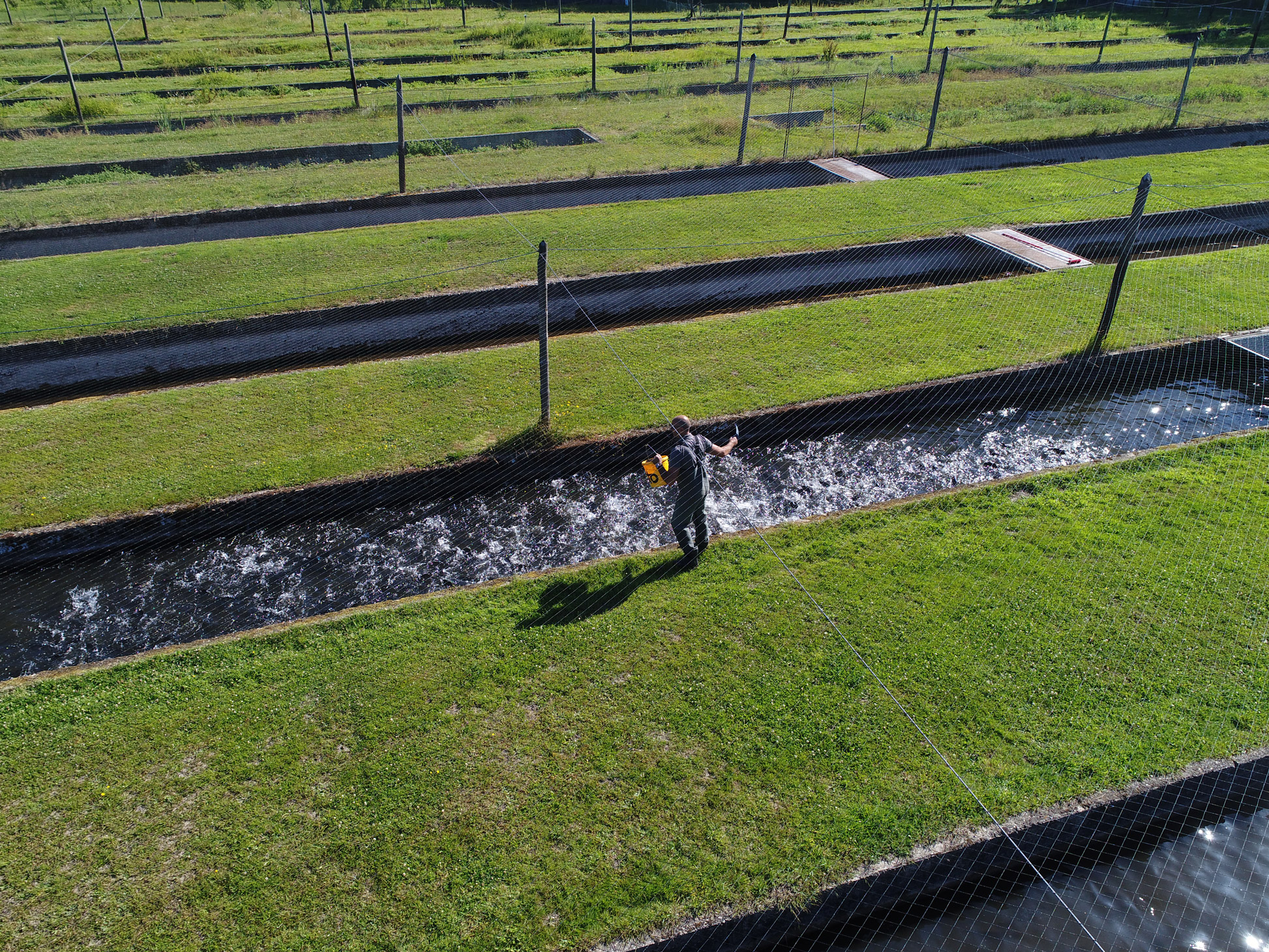 Pisciculture De Truites dans l'Ain - Élevage de Truites - Teppe ...